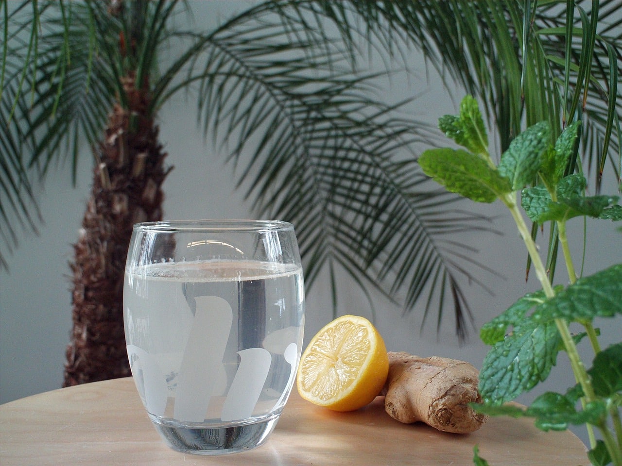 Tout ce qu’il faut savoir sur la Ginger Beer - Cocktail.fr